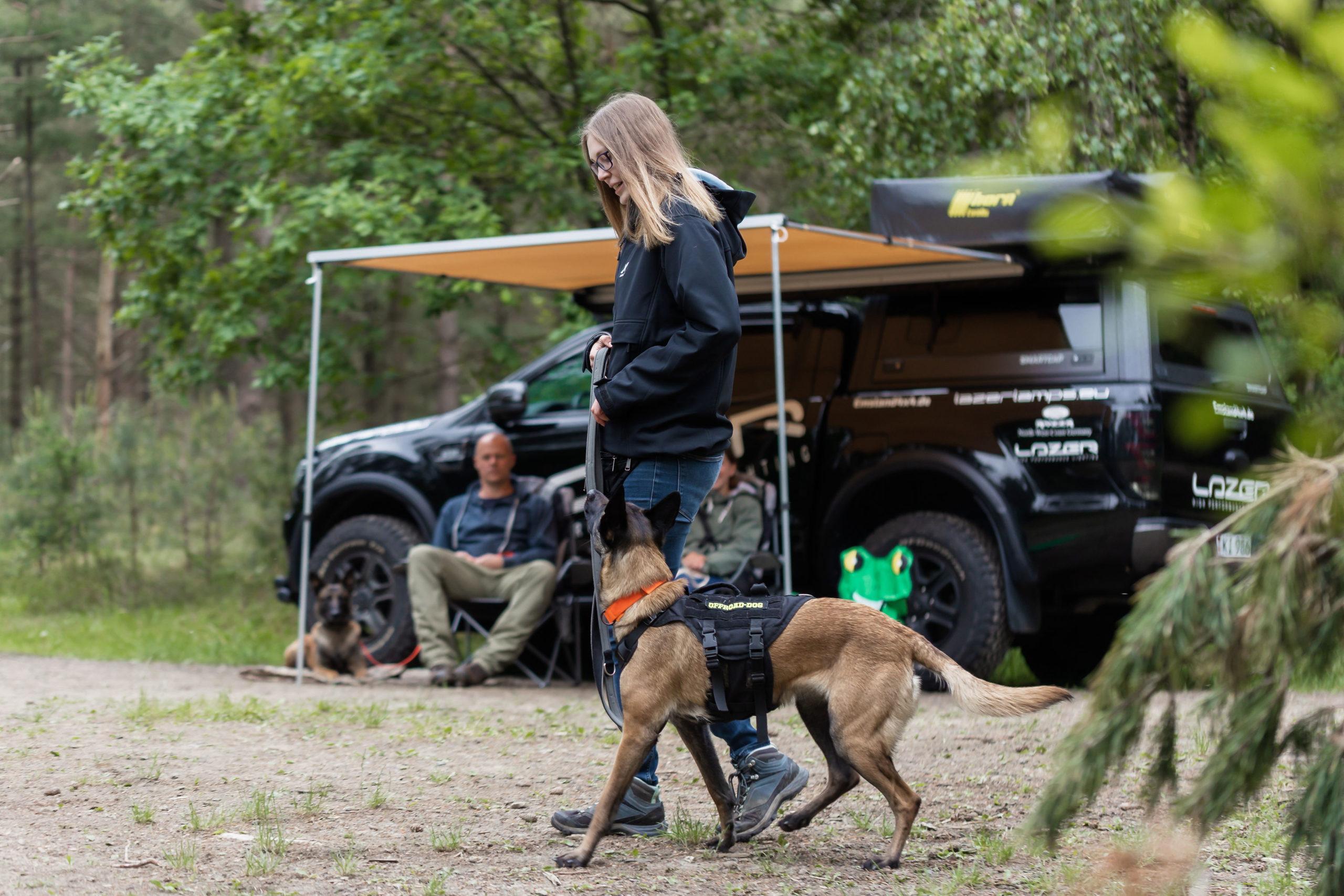 Partner und Links - ZEAL DOG